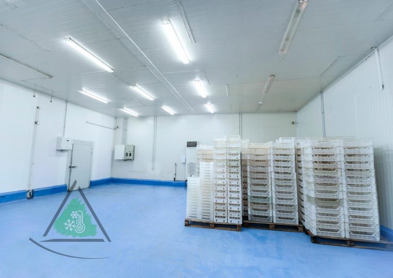 Arriendo de bodegas para productos congelados y refrigerados Quillota ...